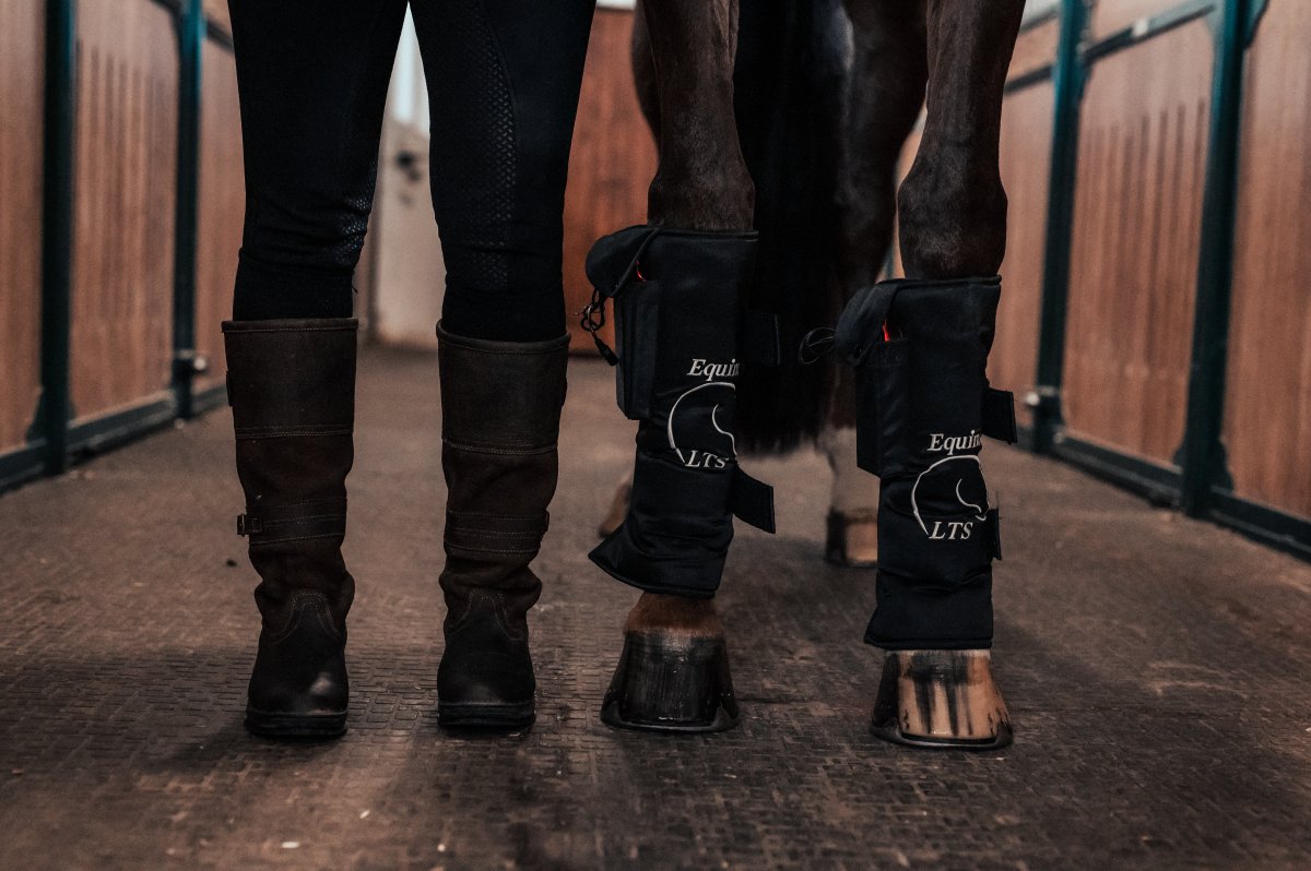 Johanna Due-Boje - Equine LTS