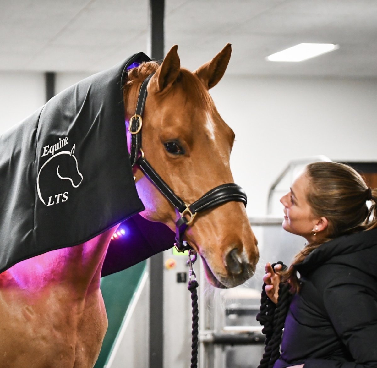 Equine LTS Topline Action & a pair of Equine LTS 3.0 - Premium LTS ...